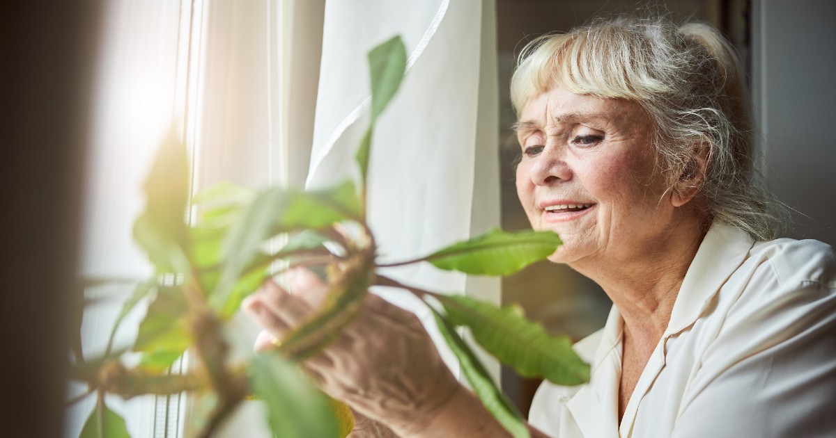 Three Excellent Indoor Gardening Ideas For Seniors three-excellent-indoor-gardening-ideas-for-seniors